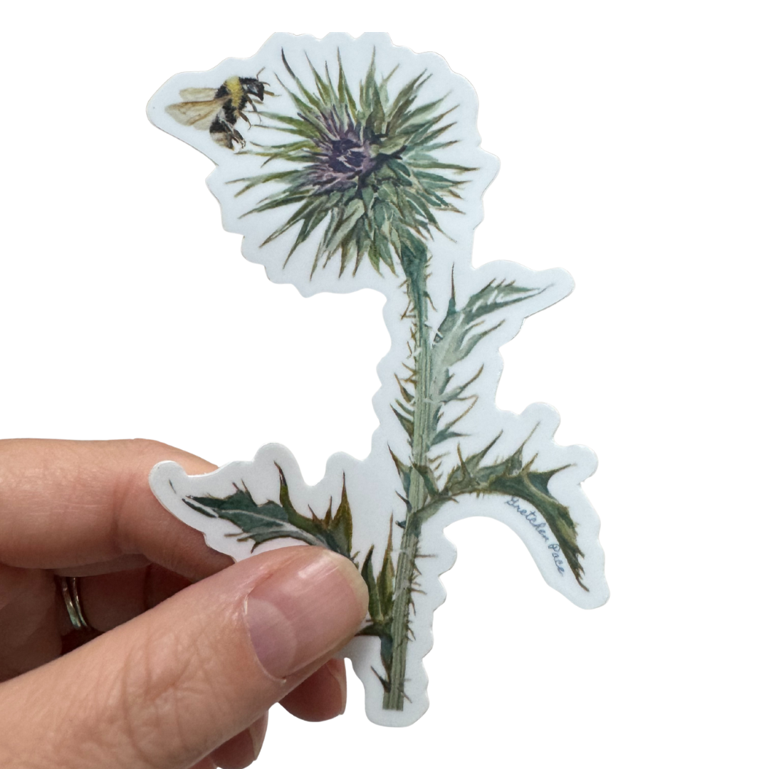 Vinyl sticker - Thistle – Goose and Willow